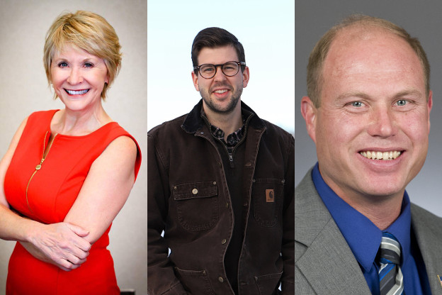 Minnesota Senate District 11 Bonus Election Preview - LeftMN